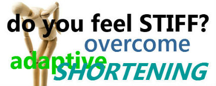 Low Back Pain Program – Relieving Your Pain