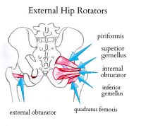 External Hip Rotator Pain? Help & Answers - Low Back Pain Program